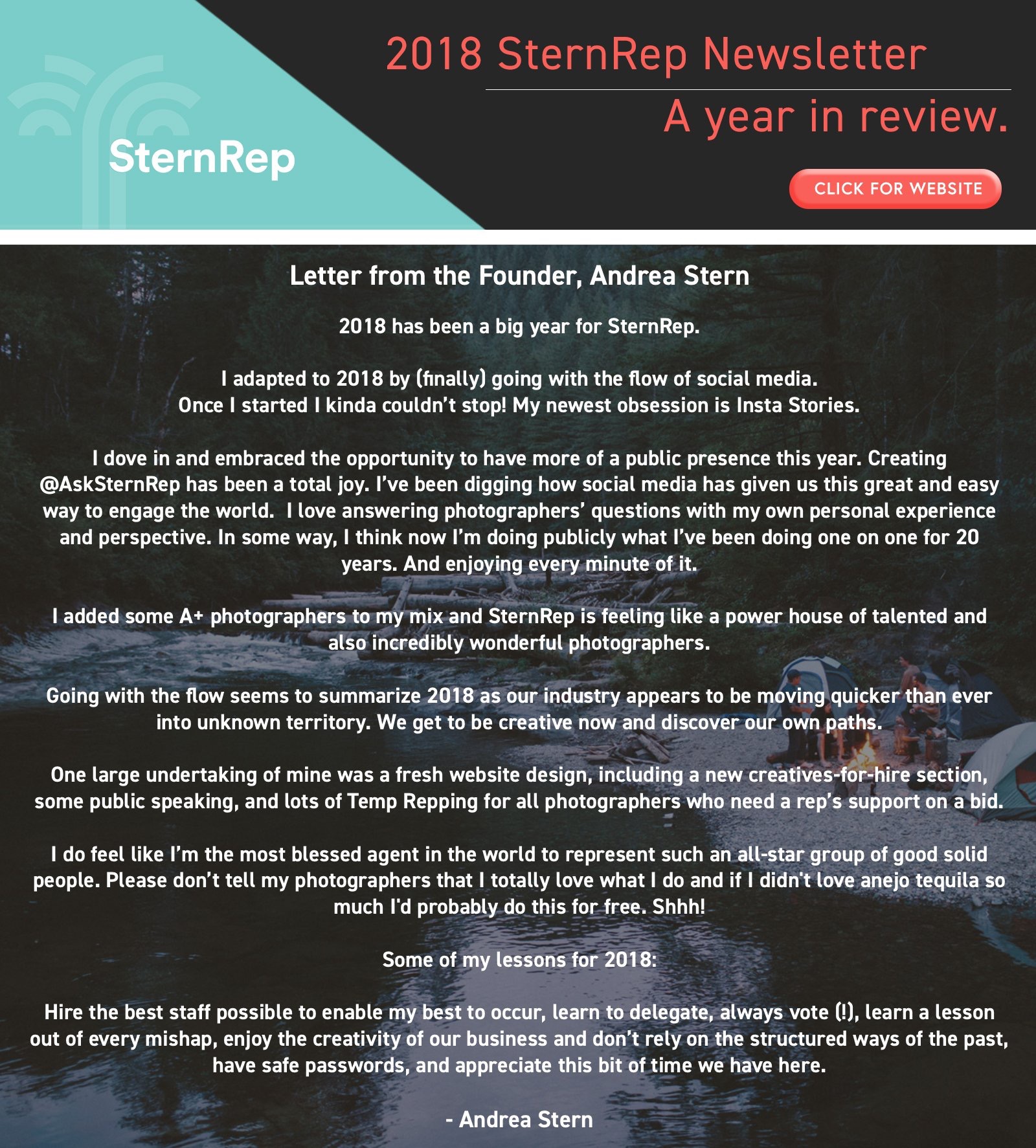 2018 SternRep Newsletter - A Year in Review